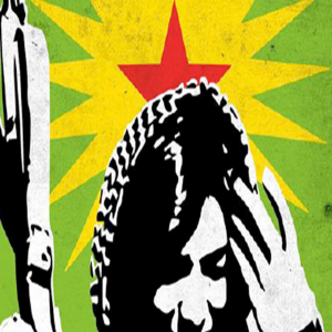 From Southern Appalachia to Northeast Syria: Anarchist Combat Medics in ...